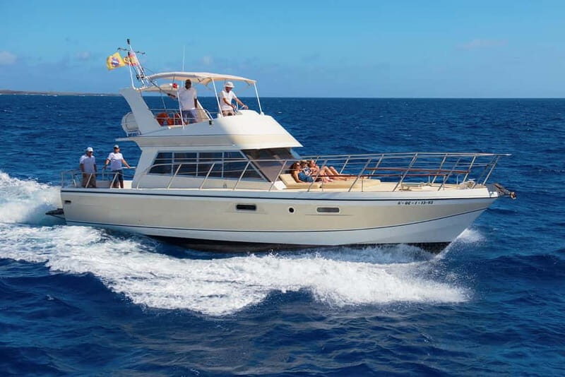 Tenerife: Whale watching tour with swim and lunch on yacht for 22 passengers