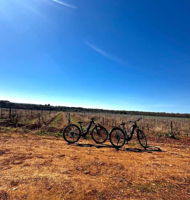 Tenute Girolamo: Wine & Bike Tour in the Itria Valley