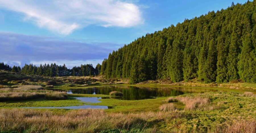 Terceira Island: Mistérios Negros Hiking