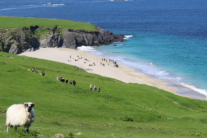 The Great Blasket Island Experience - Premium Tour - The Itinerary in Detail