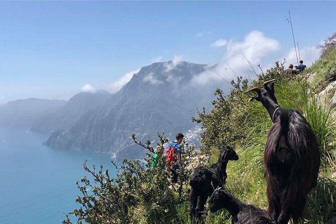 The Path of The Gods Private Guided Hike with Transfer
