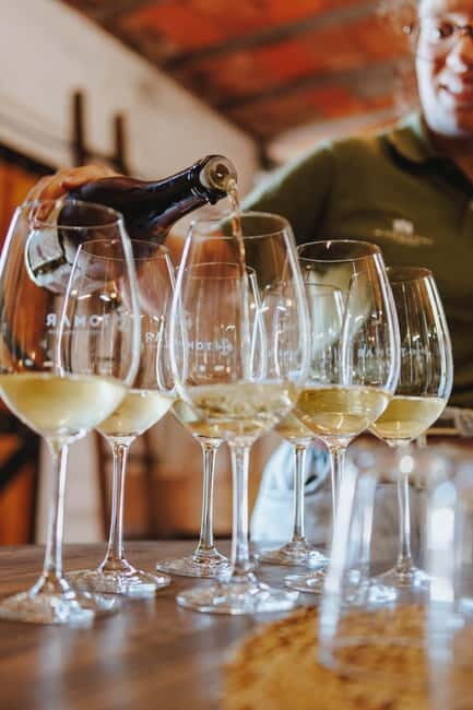 Tomar: Vineyard Tour with Tastings - Who Should Consider This Tour?