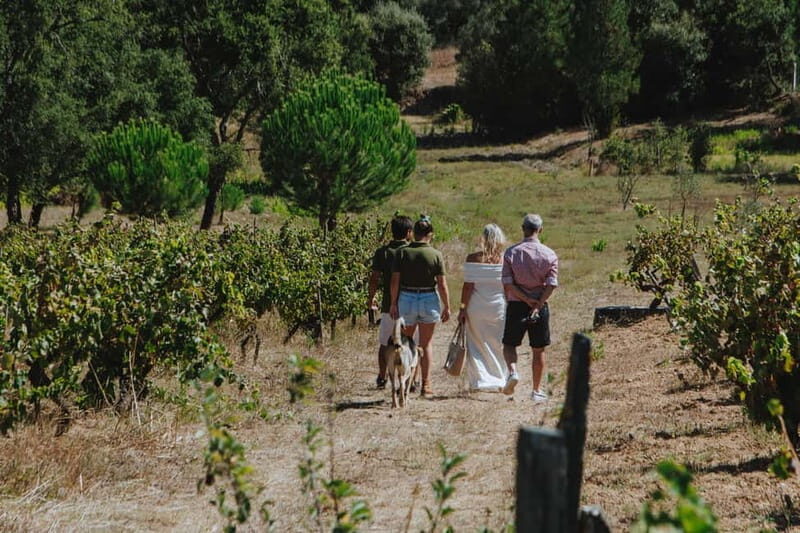 Tomar: Wine Tasting with Vinotherapy
