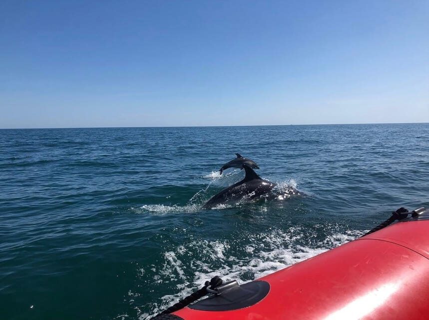 Torquay: 1-Hour Coastal Explorer Boat Trip