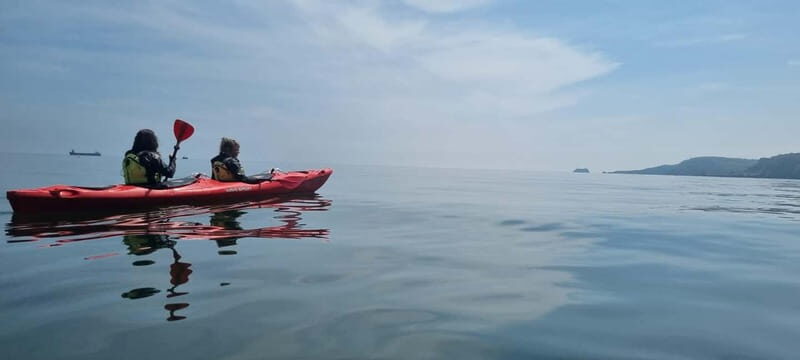 Torquay: Wildlife, Bushcraft and Sea Cave Kayak Safari