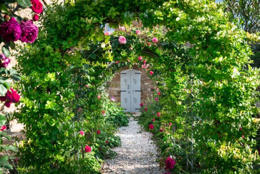 Total Immersion Wine Tour in Chianti