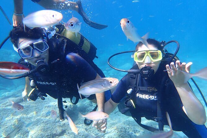 Tour in Alanya with Lunch and Guided Scuba Dives from Side