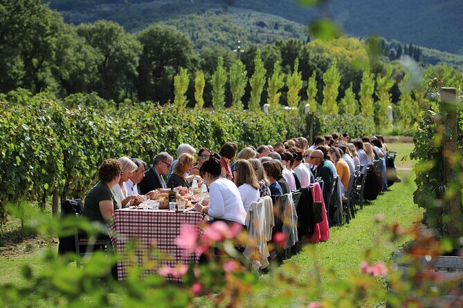 Tour & Tasting - Authenticity and Reviews: What Visitors Say