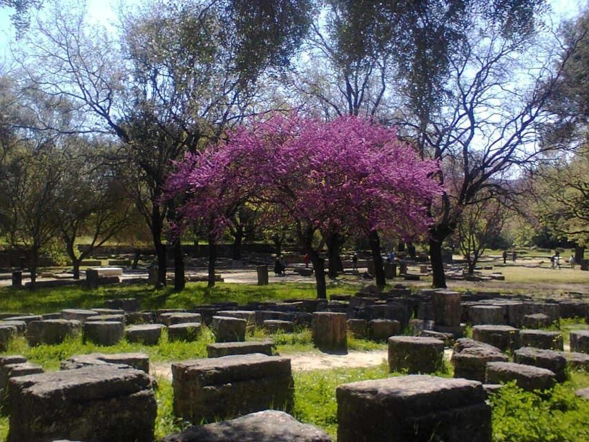Tour to the archaeological site of Olympia by an archaeologist of Italian descent