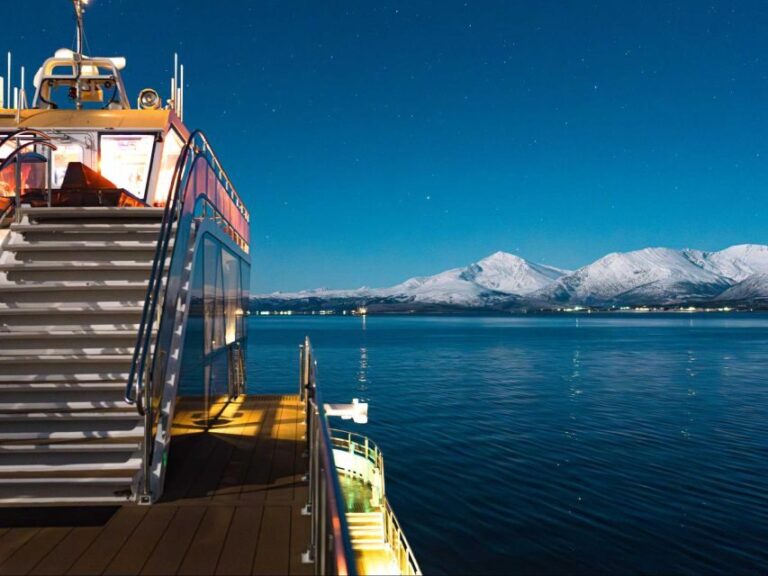 Tromsø: Electric Northern Lights Cruise - Pricing and Value