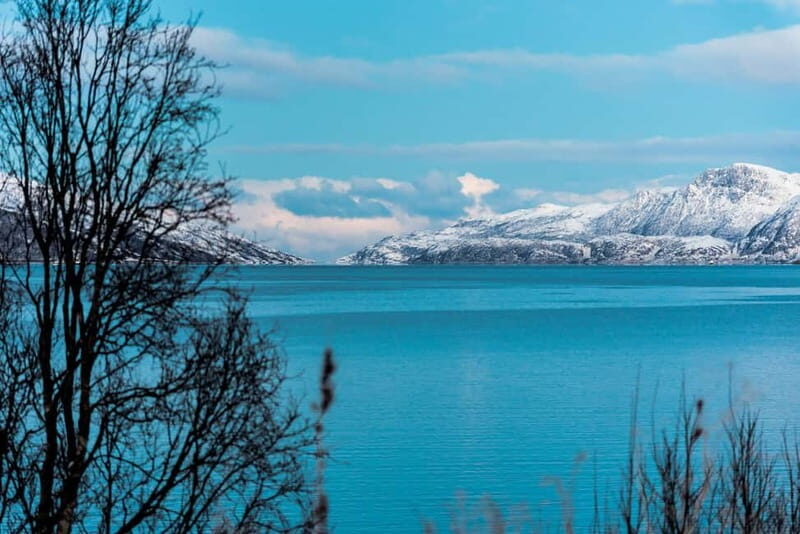 Tromso: Visit 5 Fjords in 4 hours