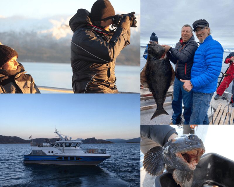 Tromsøs Top-Rated Fjord & Fishing Cruise  All-Inclusive
