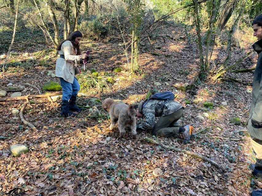 Truffle hunting in Chianti with pasta cooking class & lunch