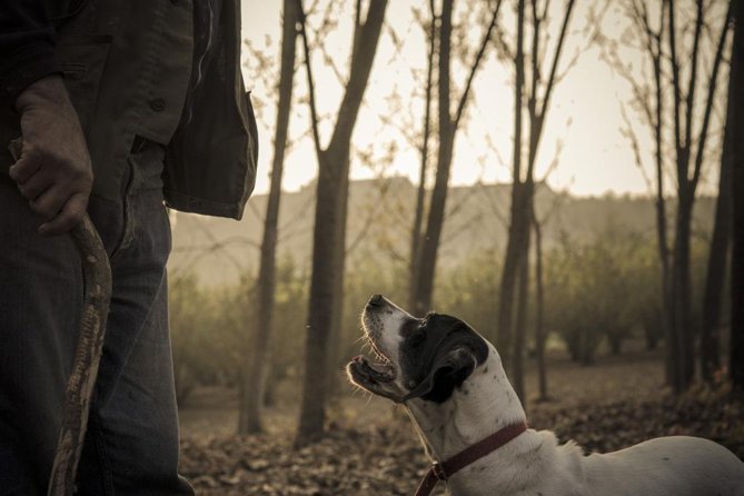 Truffle Hunting & Wine Tasting In Istria (private V.i.p. Tour) - An Honest Look at the Truffle Hunting & Wine Tasting in Istria Private VIP Tour