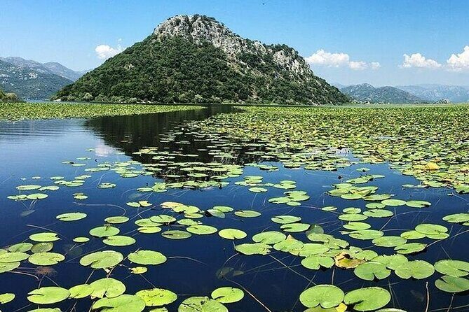 Two Hours Sightseeing Lake Cruise at Montenegro National Park