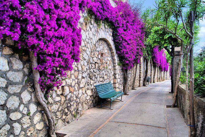Unique Beauty and Heritage - Capri Walking Tour