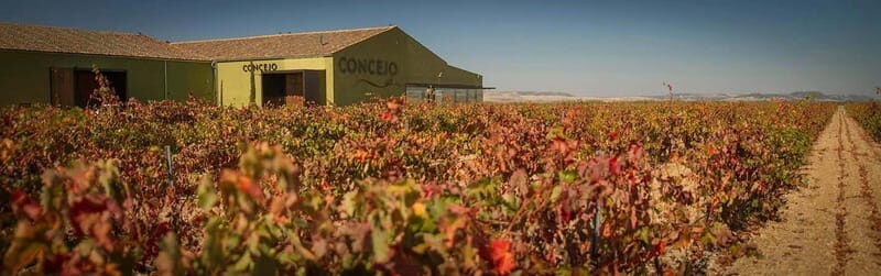 Valladolid: Concejo Bodegas