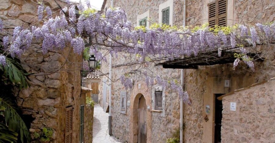 Valldemossa: Discover Valldemossa with a transfer from Palma