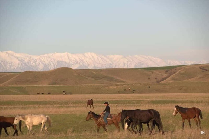 Vashlovani Nature Reserve: Horse Riding Tour