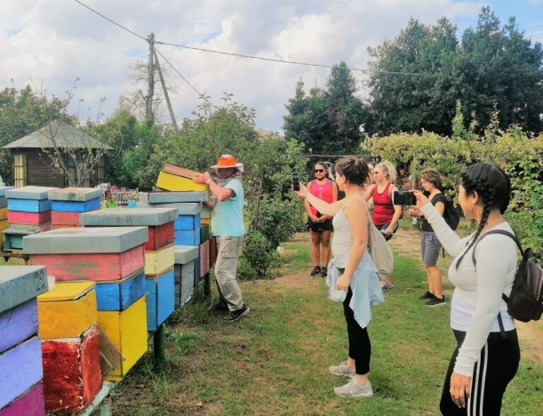 Venice: Bike Tour Honey & artichockes on SantErasmo Island - Who Will Love This Tour?
