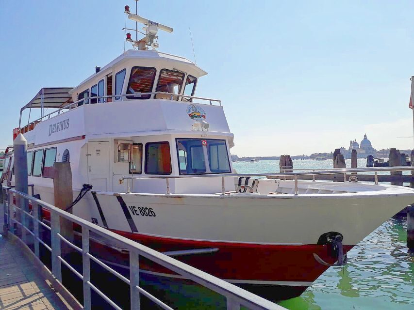 Venice: Murano & Burano Panoramic Boat Tour w/ Glassblowing