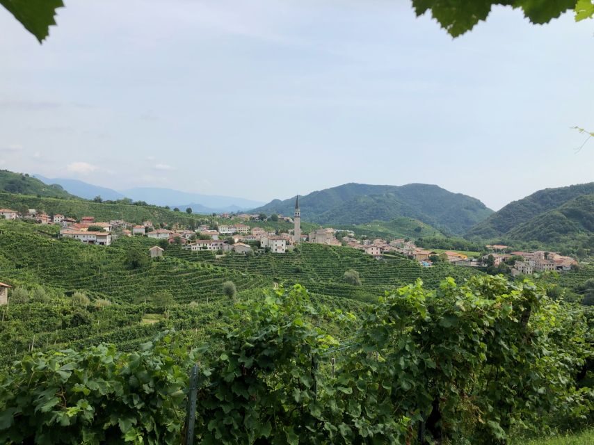 Venice: Prosecco Hills Wineries Tour with Tastings and Lunch