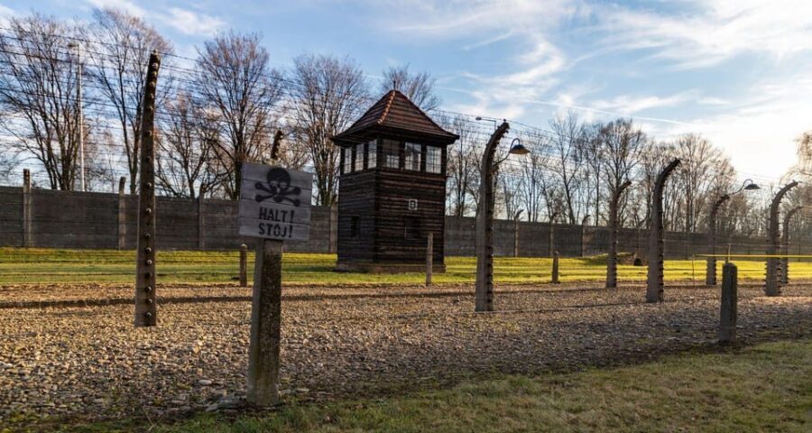 Vienna: Auschwitz Birkenau Full-Day Tour w/ Hotel Transfers