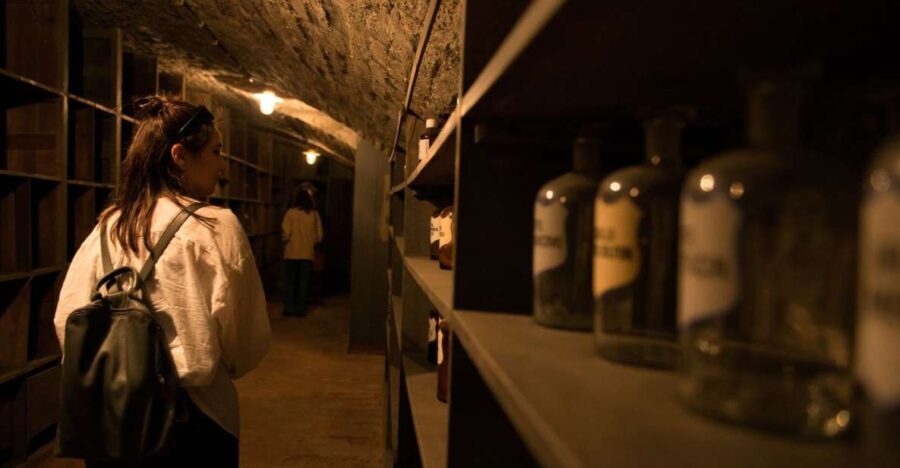 Vienna: Historical Pharmacy Cellar Guided Tour