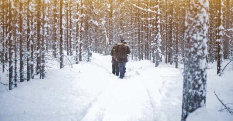 Vikakongas Hike: Nature and Silence - Practical Details & What to Expect