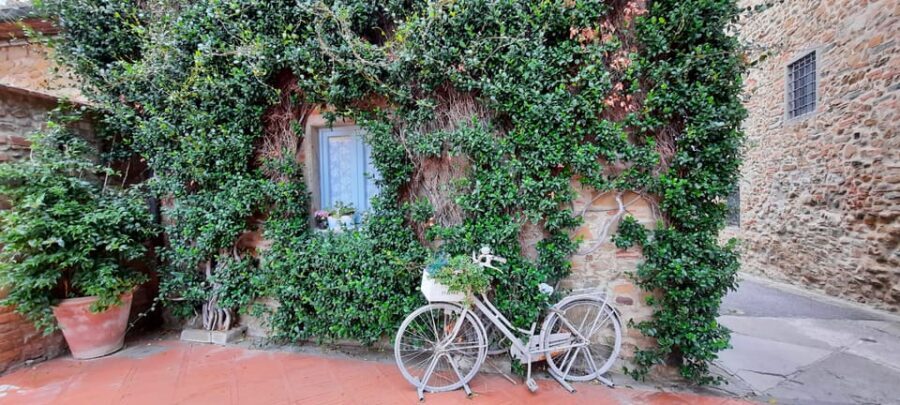 Vinci:Discovering Leonardo's Origins & Aperitif in Vineyards