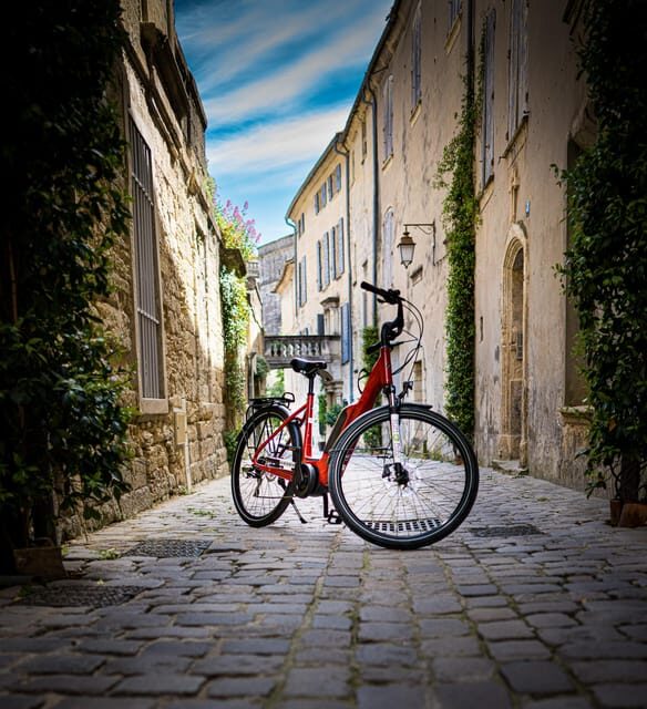 Vineyard of the Alpilles by bike