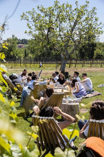 Vineyard Tour and Winery Visit with Tasting of Wines of Romagna - The Family’s Legacy and Its Impact on the Experience
