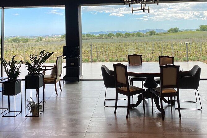 Visit and wine tasting 30 minutes from Pescara