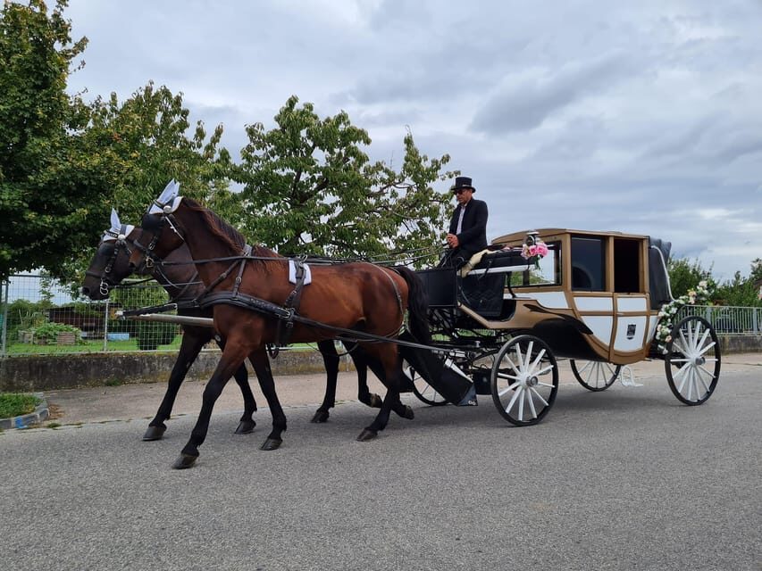 Wachau porcelain carriage A sparkling carriage ride through the vineyards