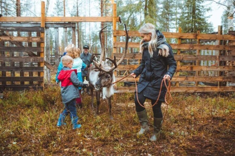Walk with Reindeer - Final Thoughts