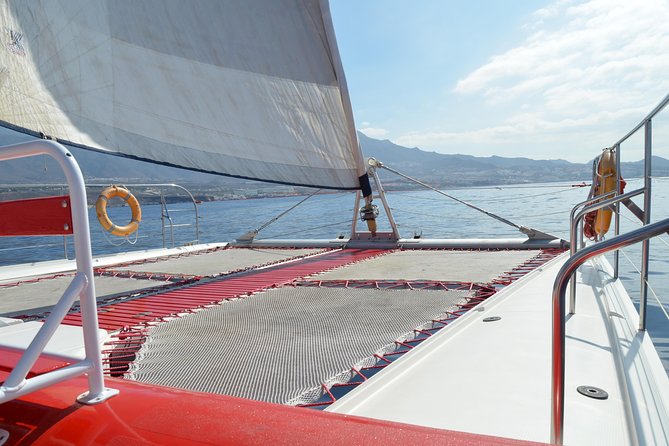 Whale Watching and Listening Eco Catamaran Tour with Food Tasting - Exploring Tenerife’s Marine Wonders: A Review of the Whale Watching and Listening Eco Catamaran Tour