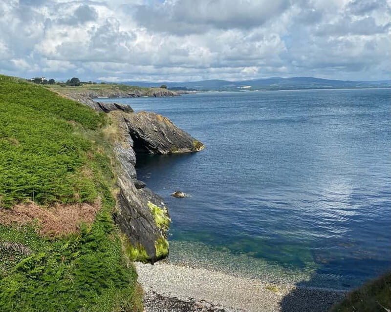 Wicklow: Guided Cliff Walk with Seals and Town Tour w/Picnic