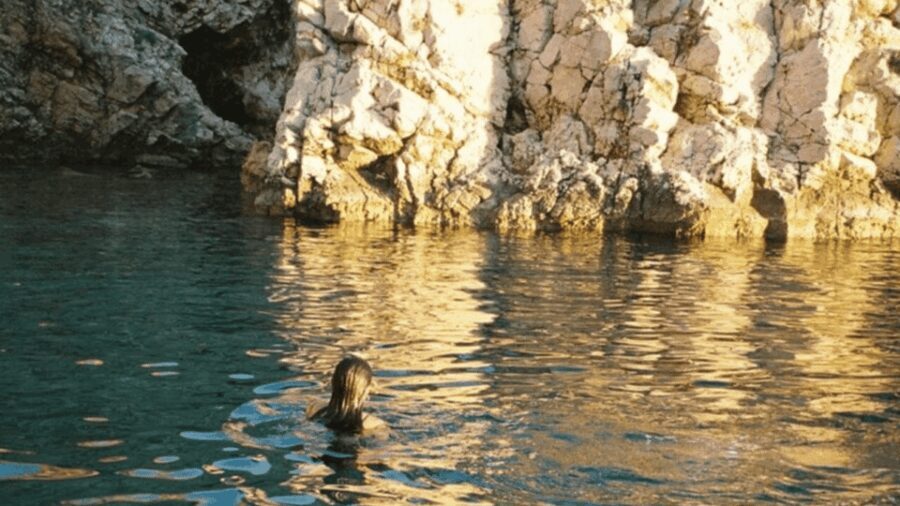 Wild Bays and Plavnik Island: A whole day private boat tour