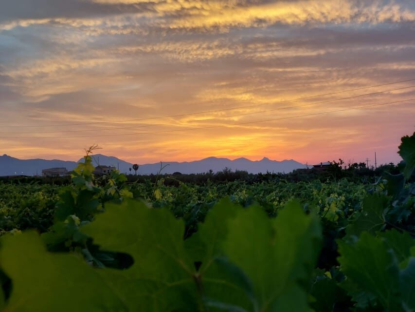 Wine and food at sunset