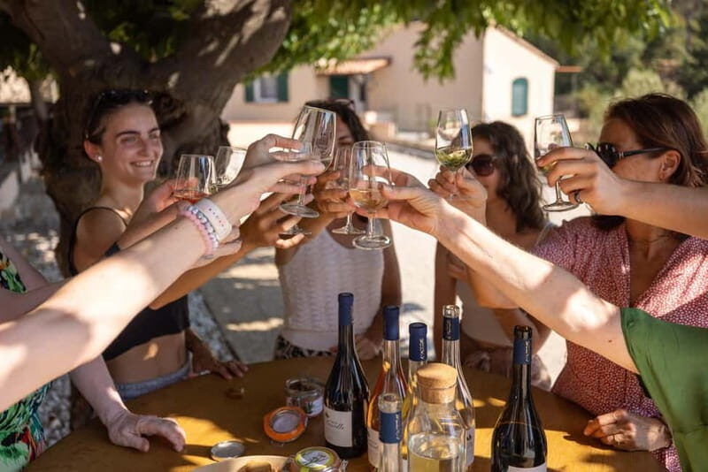 Wine tasting tour - Le Pradet
