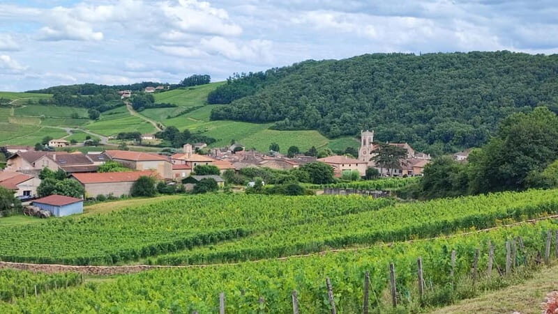 Wine tour in Pouilly Fuissé