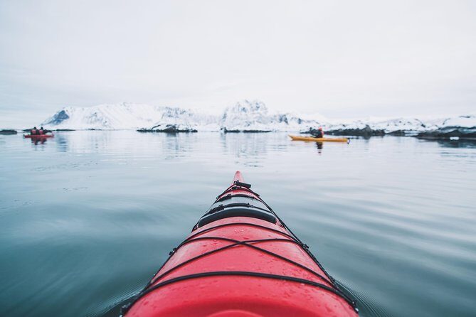 Winter Half Day Kayak Tour
