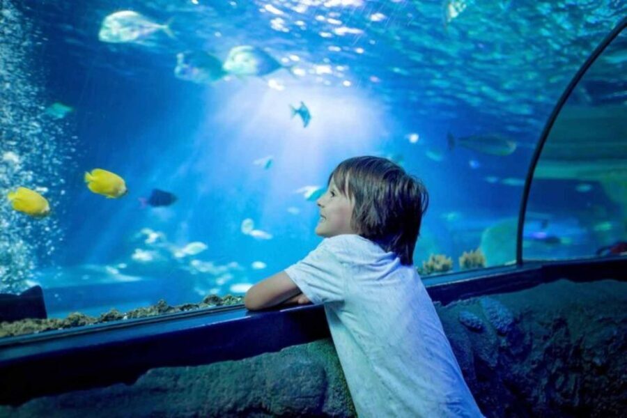 Wrocaw: 2-Hour Guided Tour for Children