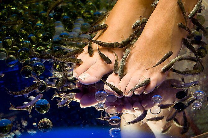 1-Hour Aroma Oil Massage plus 20-Minute Free Fish Pedi