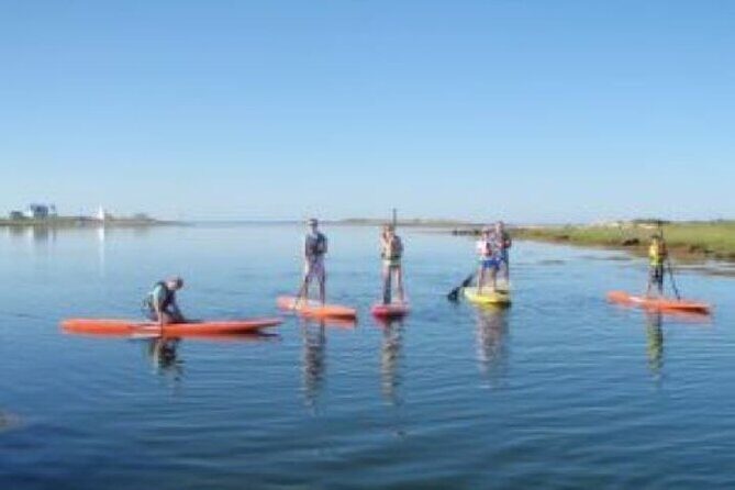 1 Hour Guided SUP/Kayak Tour in Pelican Bay at Fort Myers Beach - Practical Tips for Your Paddle