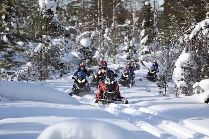 1-Hour Snowmobile Safari Adventure in Rovaniemi