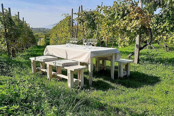2 Guests Private Prosecco Road Tour All Inclusive from Venice - The Practical Details and What They Mean for You