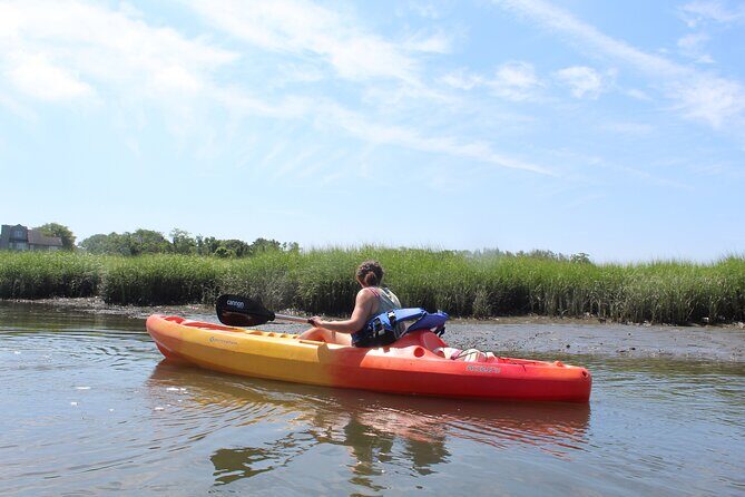 2-Hour Kayak Rental in Cape May per person - The Sum Up
