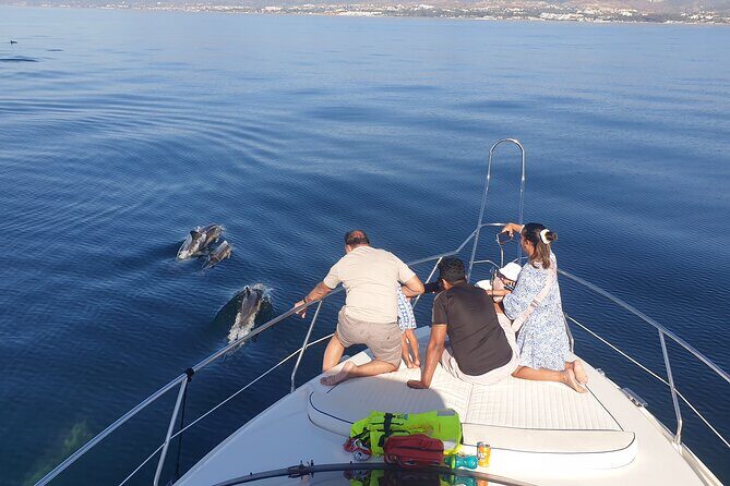 2 Hours Dolphin Watching in Marbella