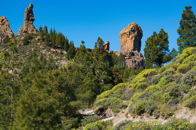 3-Hour Hiking Experience in Roque Nublo